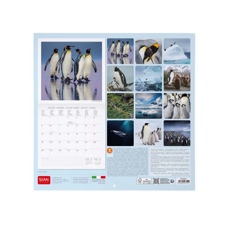Calendario pared Legami 30x29cm 2026 Penguins