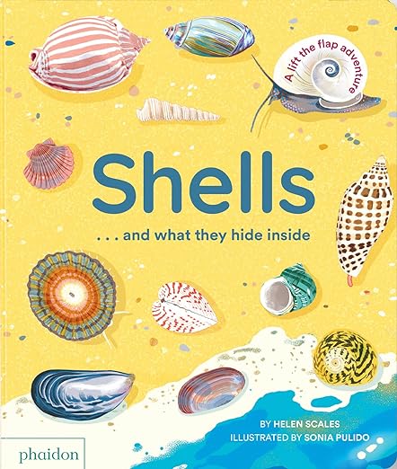Shells and What they hide Inside - Abacus Online